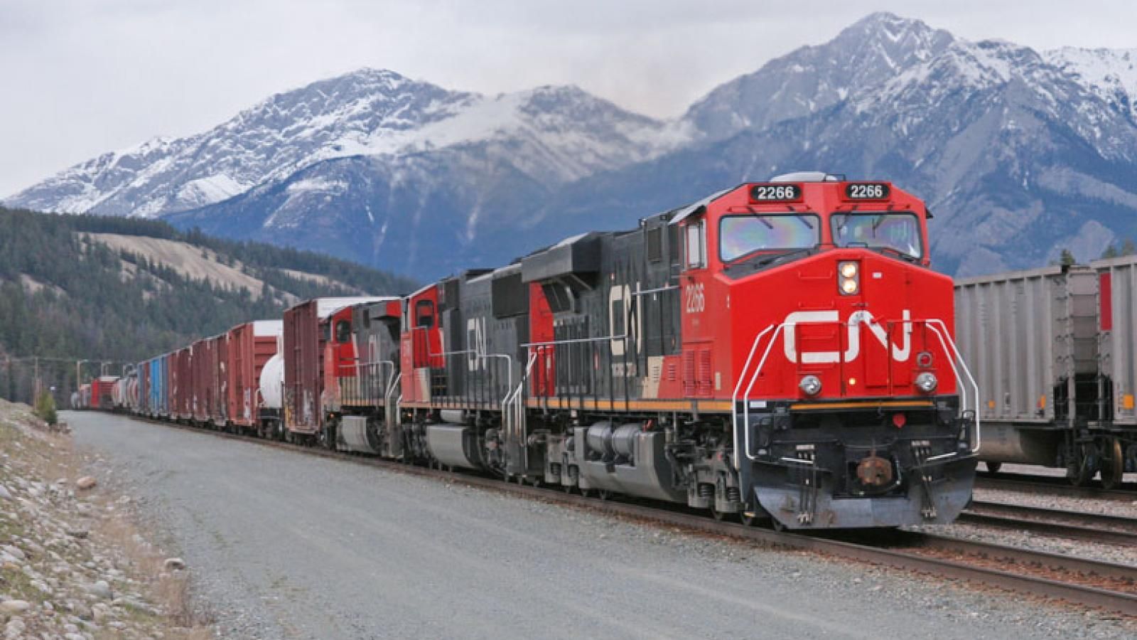 Canadian National Railroad Logo