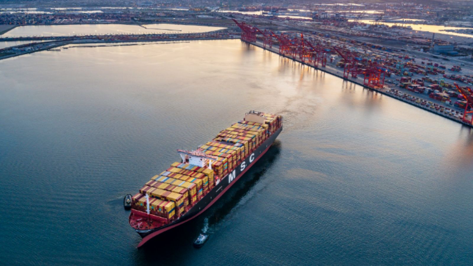 Services Msc Msc MSC Cruises To Debut Alaska Sailings In 2026 | The