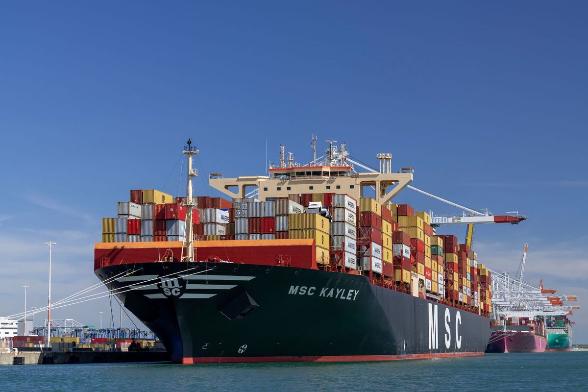 MSC grows South American logistics portfolio with Wilson Sons ...
