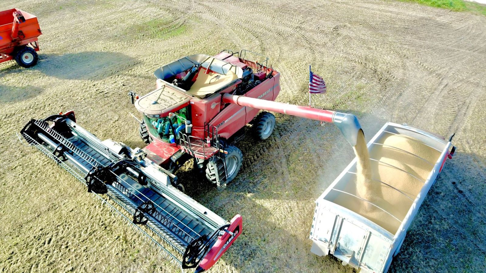 MSC reinstates India-USEC ‘Indusa’ string amid now-routine Red Sea ...