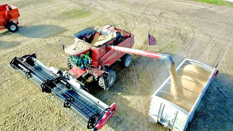 MSC reinstates India-USEC ‘Indusa’ string amid now-routine Red Sea ...